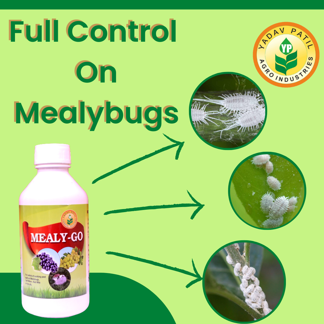Mealy Go – For Strong Control On Mealybug – 500 ML – AGRO SHOPY