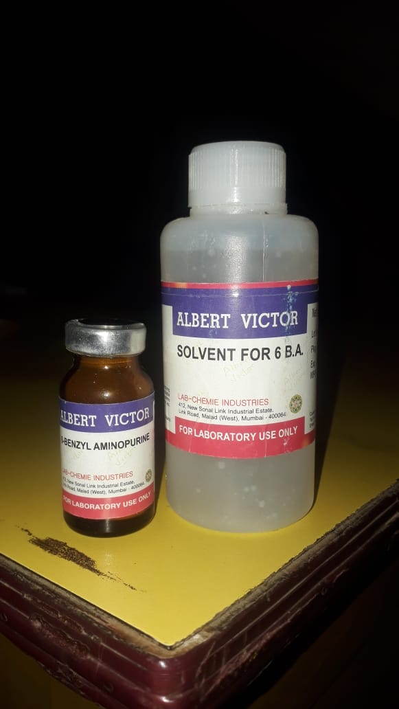 6 - Benzyl Aminopurine [ 6 BA ] - Albert - 1 Gm + Solvent
