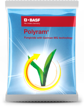 Basf - Polyram - Metiram 70% WG - 800 Gm - AGRO SHOPY